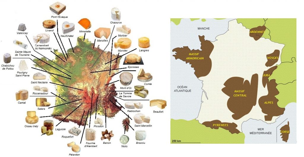 Les fromages français de l'Est (3/5) | Comprendre aujourd'hui, retenir ...