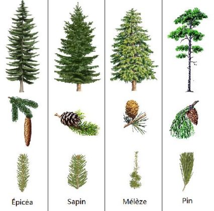 Les 7 principaux climats