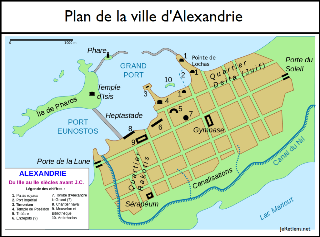 La bibliothèque d'Alexandrie | Comprendre aujourd'hui, retenir pour demain